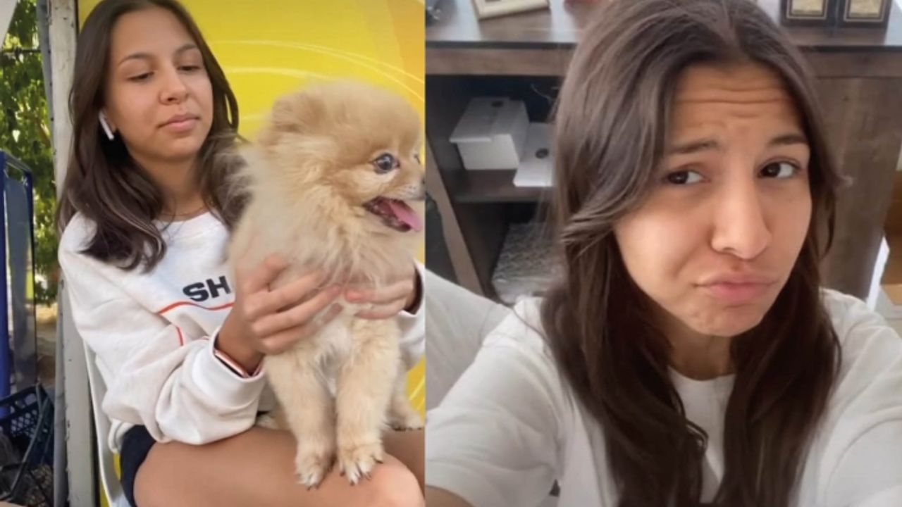 MENTEŞE'DE İNTİHAR EDEN SELİN ÇEVİK'E ACI VEDA - Haber48 - Son Dakika ...